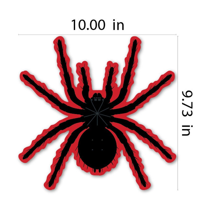 Spider Floor Decals Set of 6 Halloween Sidewalk Vinyl - Etsy