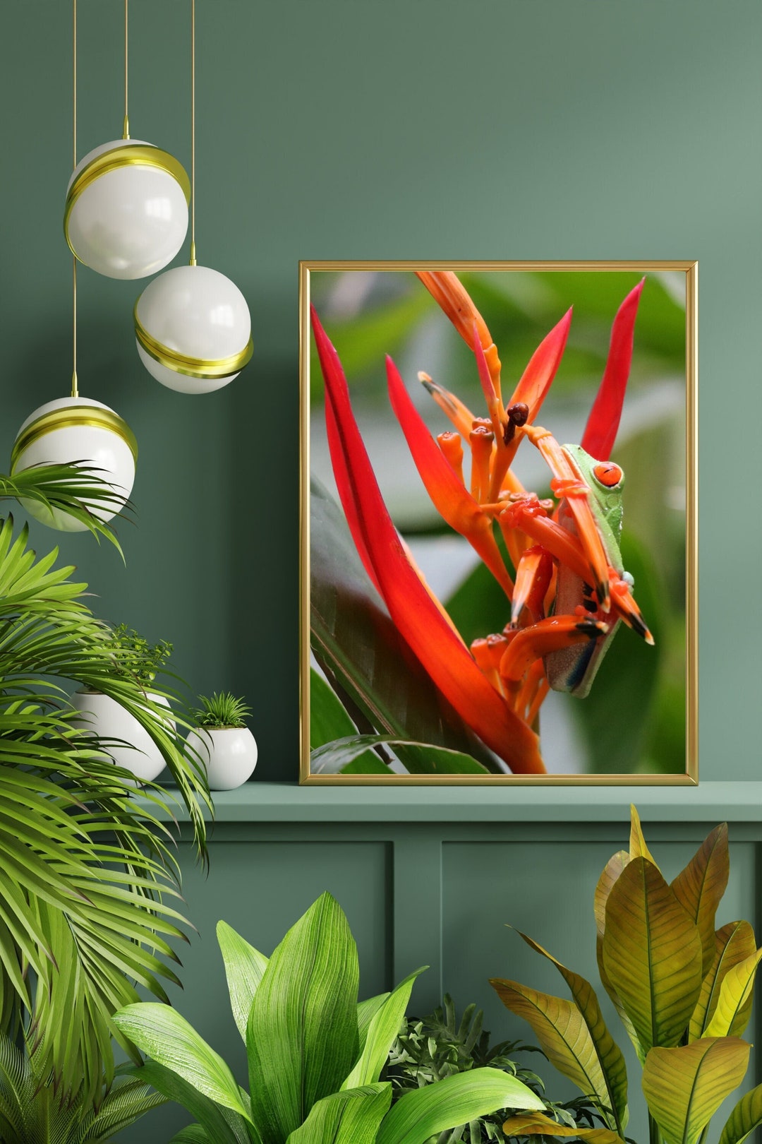 Fine Art Photography Print Red Eyed Tree Frog Print Wildlife Fine Art ...