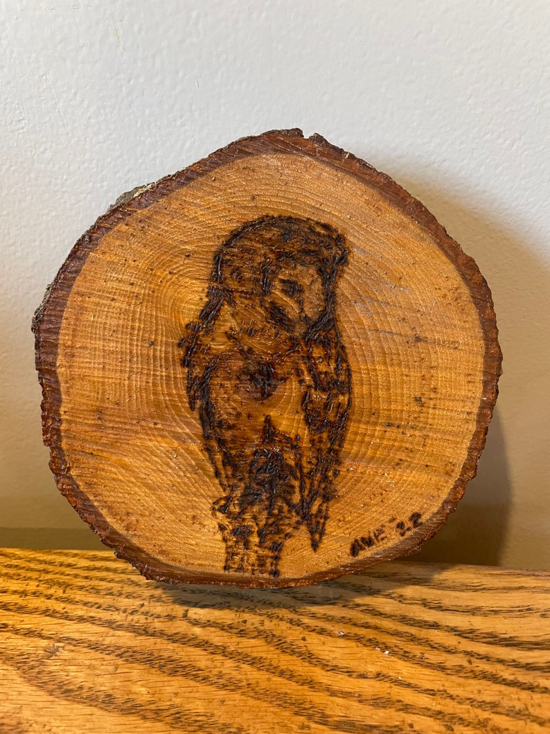 Hand Burned Barn Owl - Pyrography - Custom - Rustic Decor - Wood Burned ...