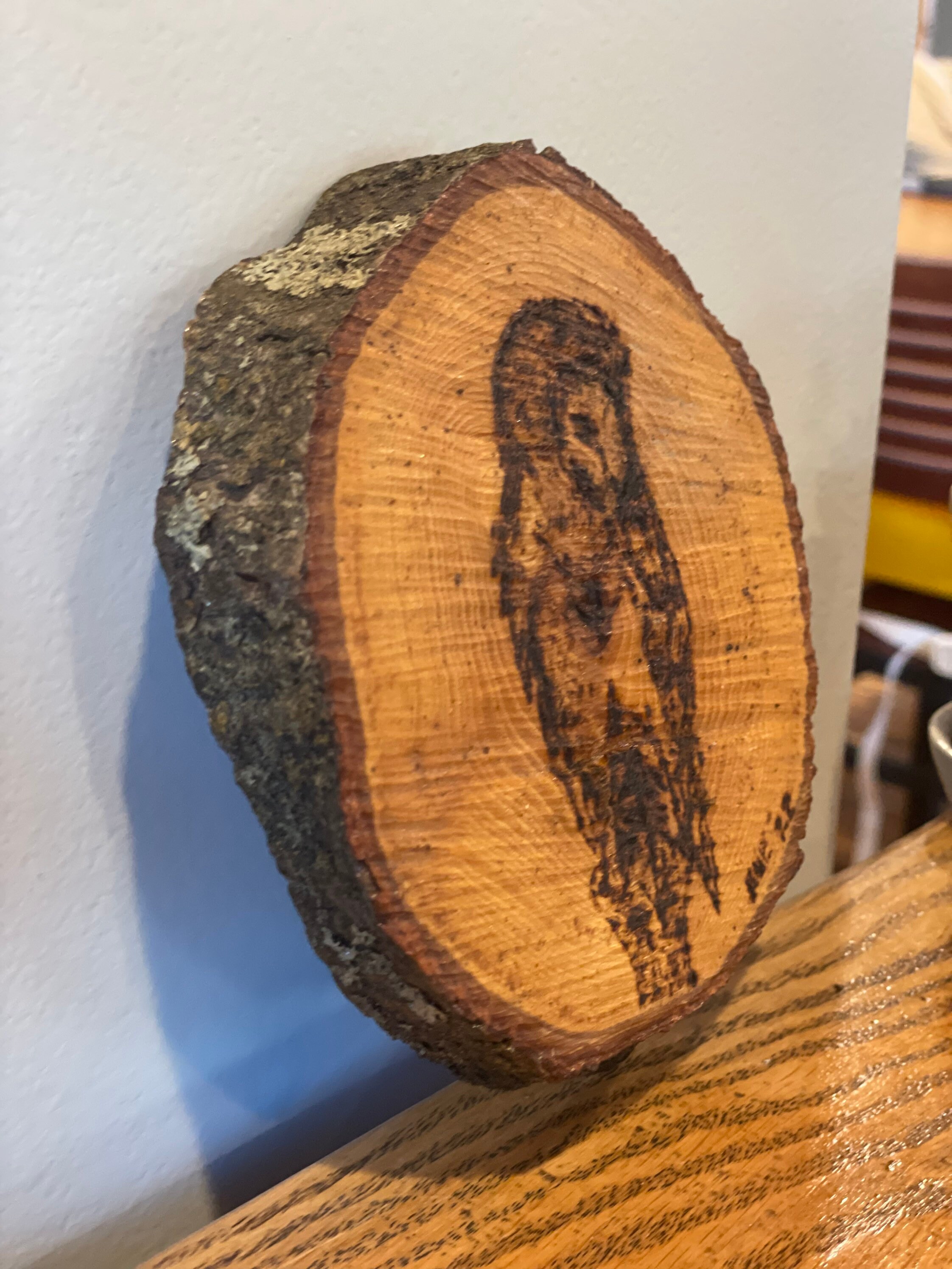 Hand Burned Barn Owl - Pyrography - Custom - Rustic Decor - Wood Burned ...
