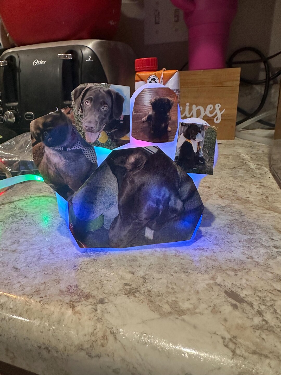 Dog Paw Light Box - Etsy