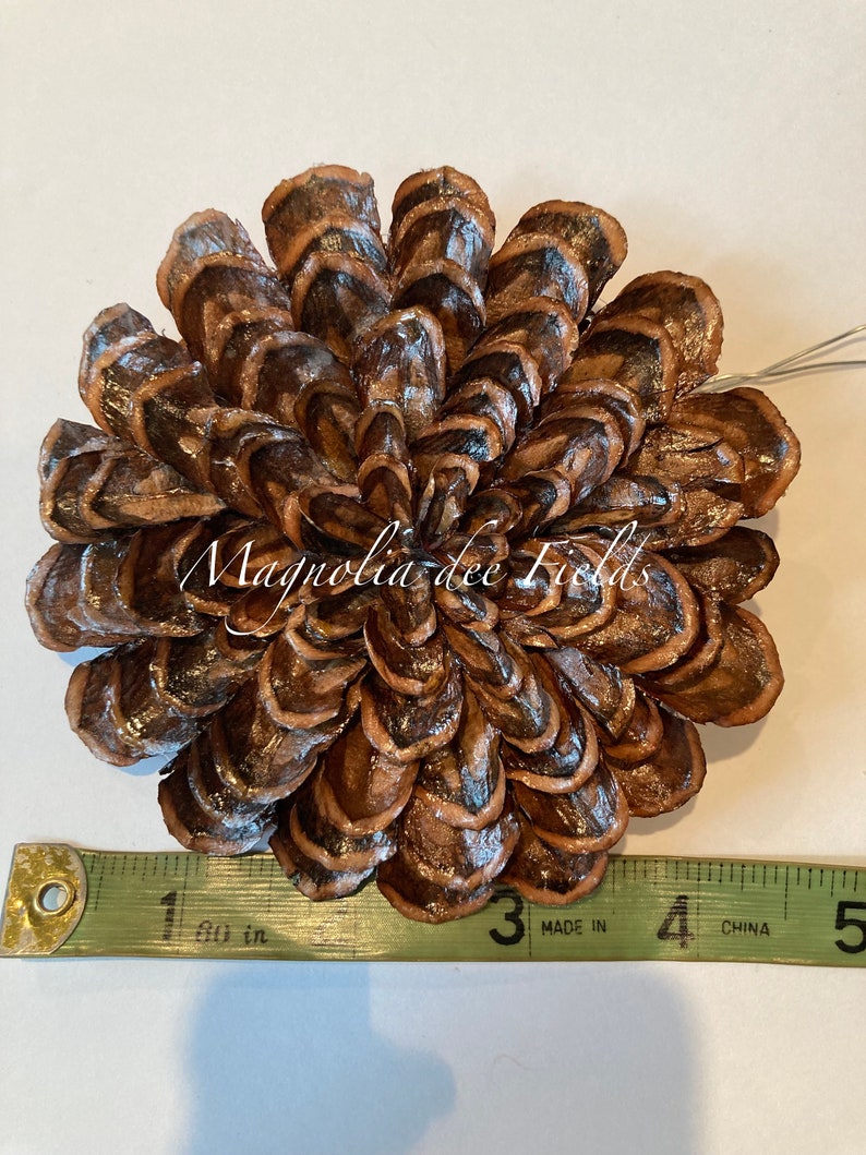 Signature Pinecone Rosette Wreath Center - Etsy