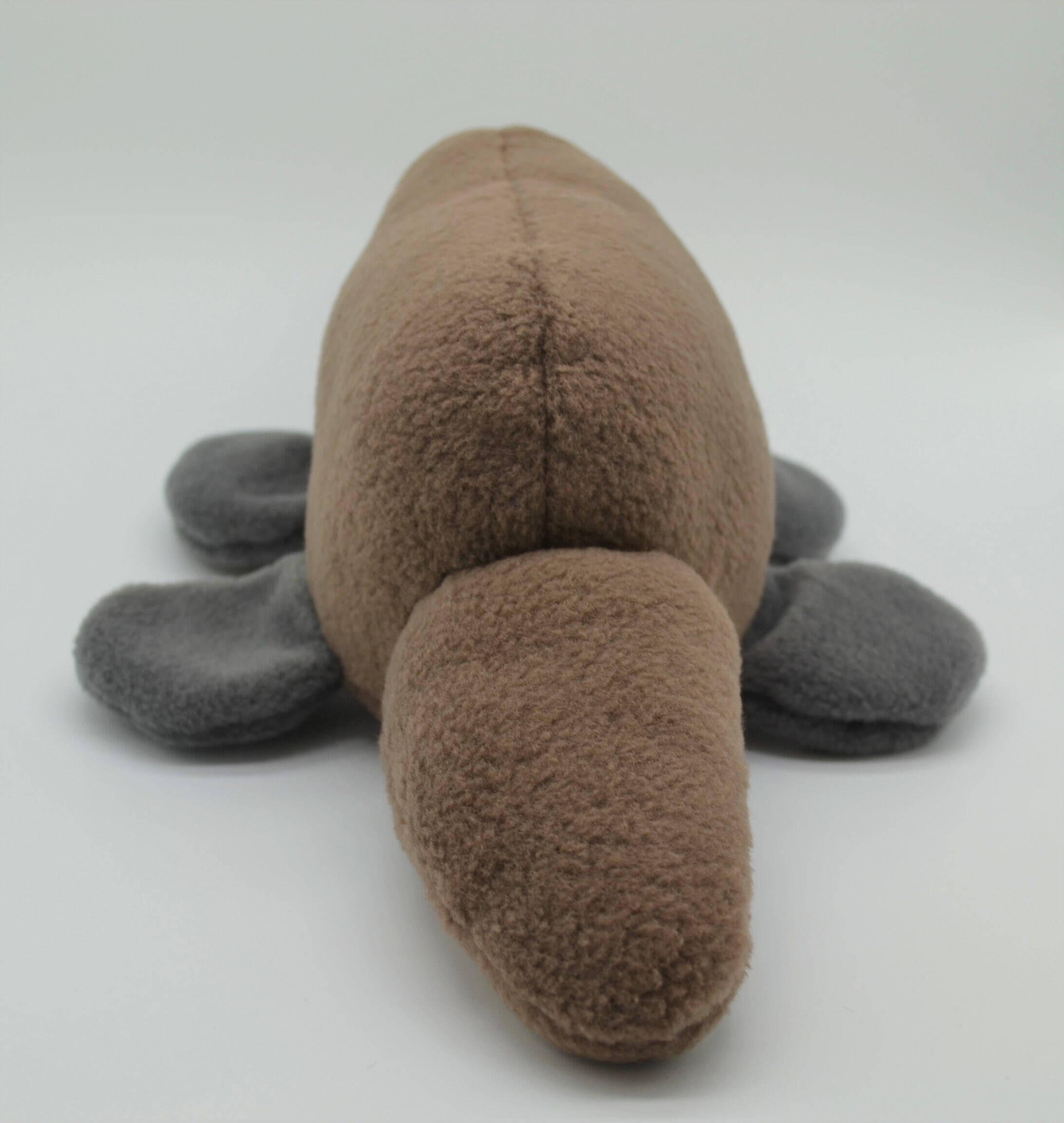 Cute Kawaii Chibi Platypus Plush Made to Order Australian - Etsy UK
