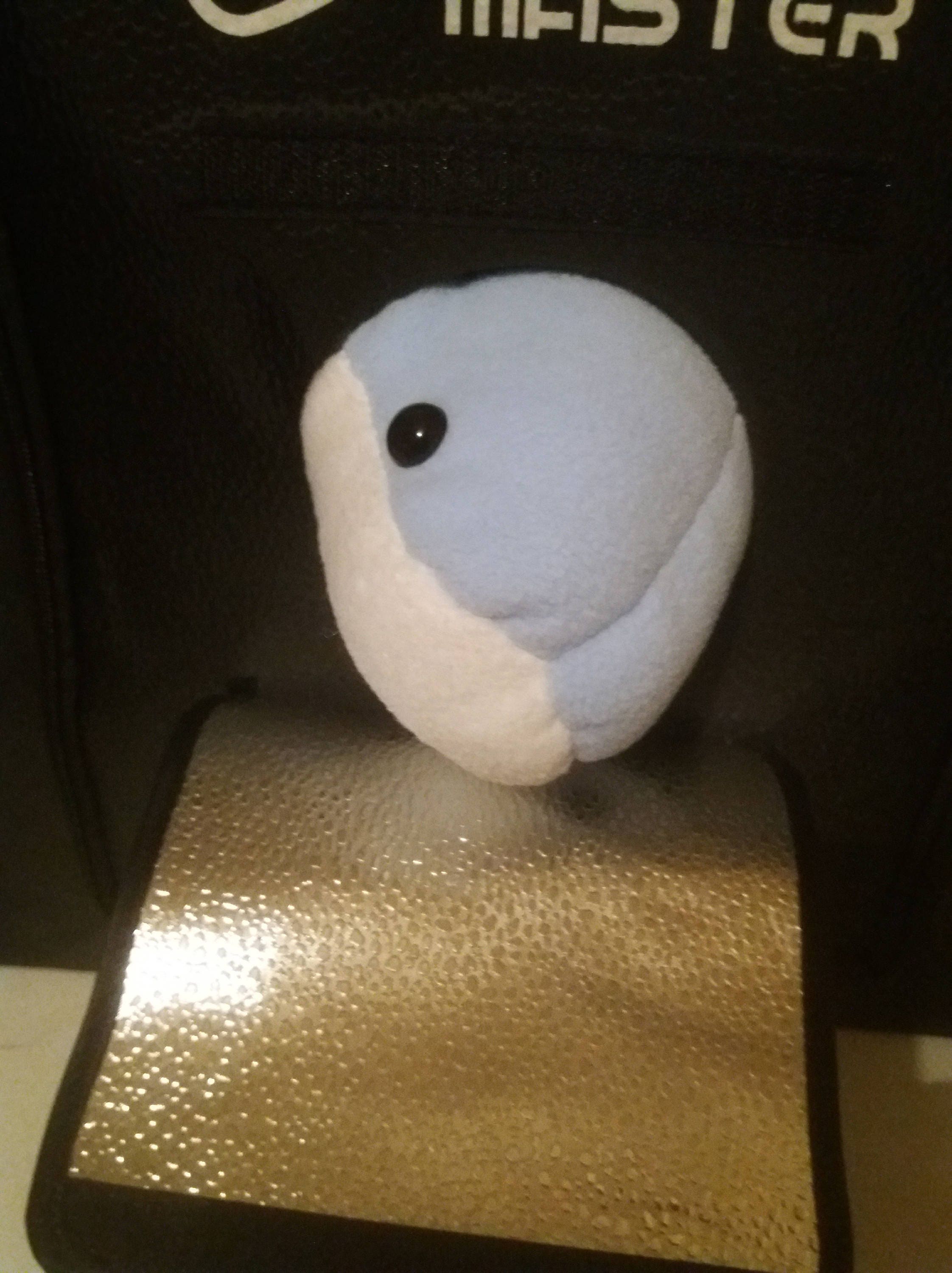 Cute Chibi Whale Shark Plush Made to Order Deep Sea Life | Etsy UK