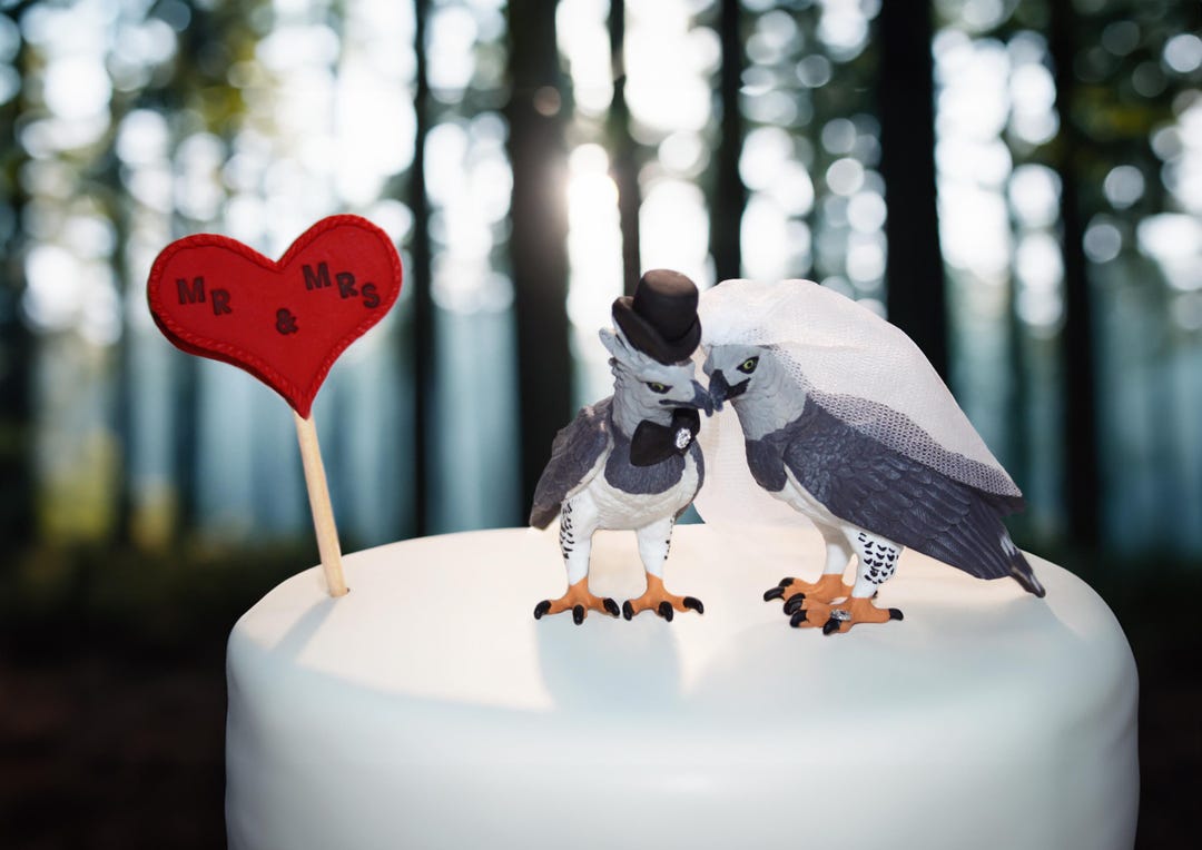 Harpy Eagle Cake Topper - Wedding Cake Toppers - Bird Cake Toppers ...