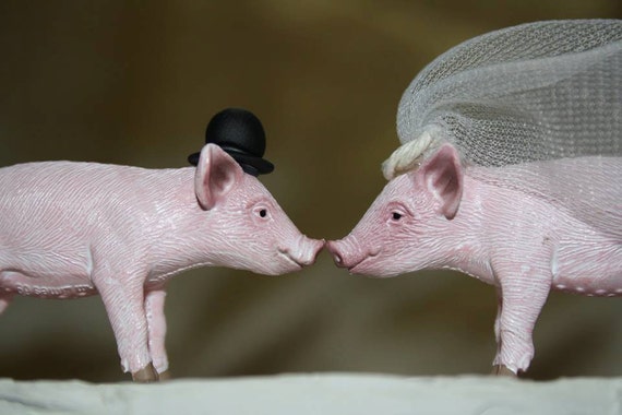 Bridal Pigs