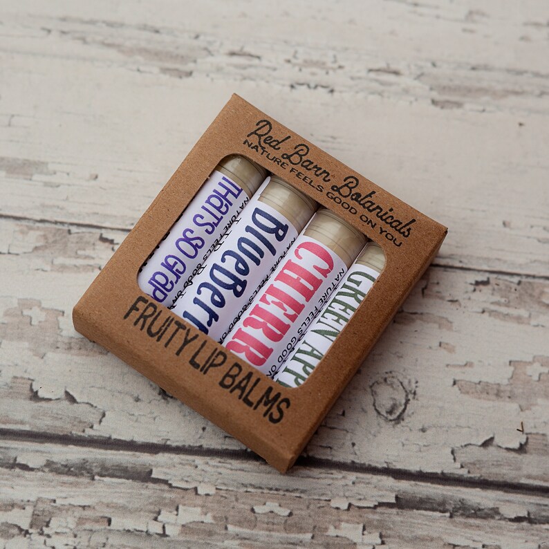 Fruity Gift Set of 4 All Natural Lip Balms Best Christmas - Etsy