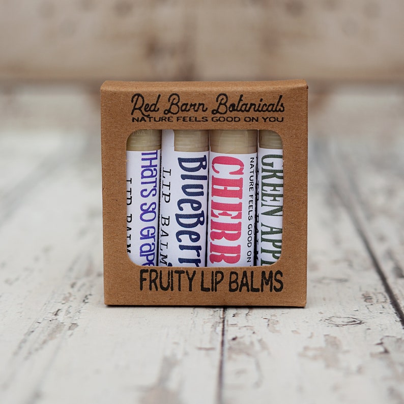 Fruity Gift Set of 4 All Natural Lip Balms Best Christmas - Etsy