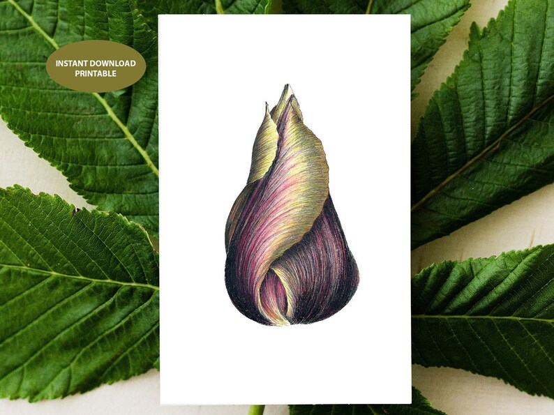 Printable Cards | Greeting Card | Instant Digital Download | Botanical ...