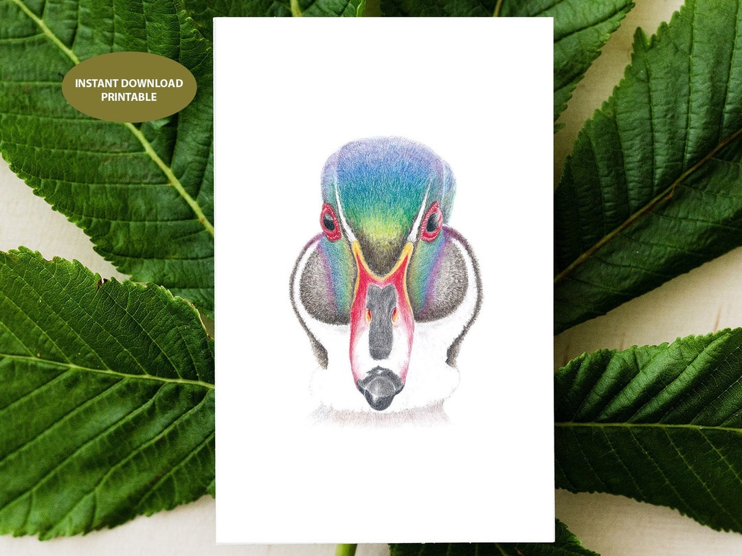 Printable Cards | Greeting Card | Instant Digital Download | Bird Card ...