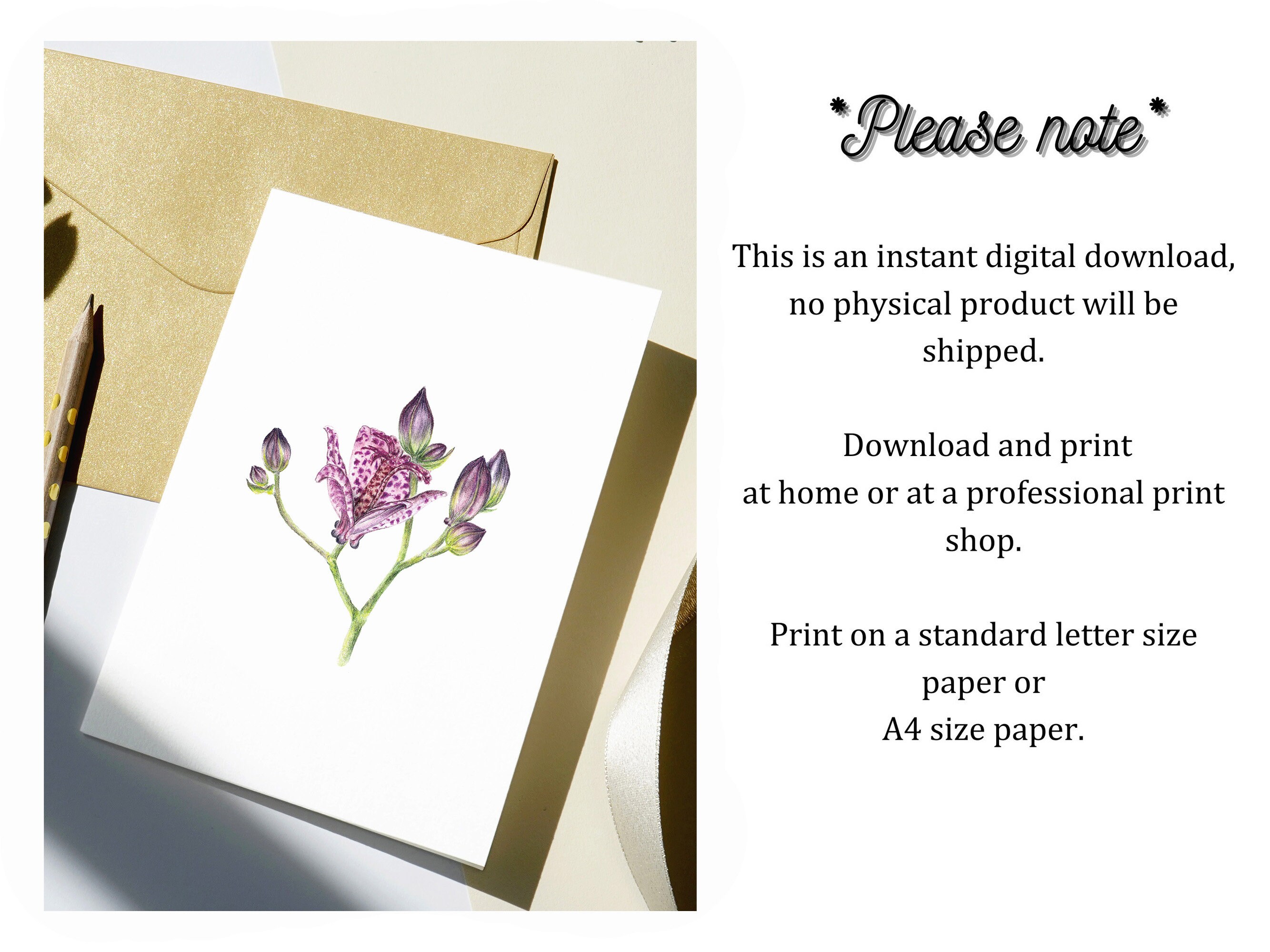 Lily Flower Greeting Card | Botanical Art Printable (digital Download ...