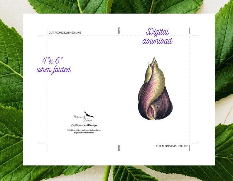 Botanical Tulip Card | Printable Floral Art Greeting Card (digital ...