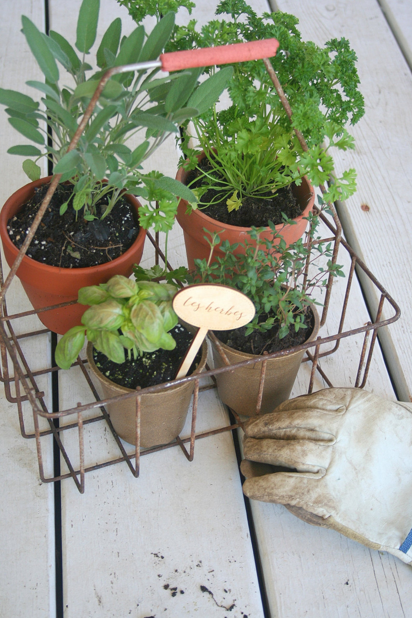 Les Herbes Tag // French Herb Tag // Plant Markers // Engraved Plant ...