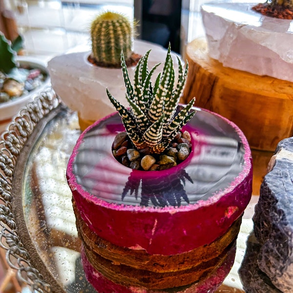Geode Planter - Etsy