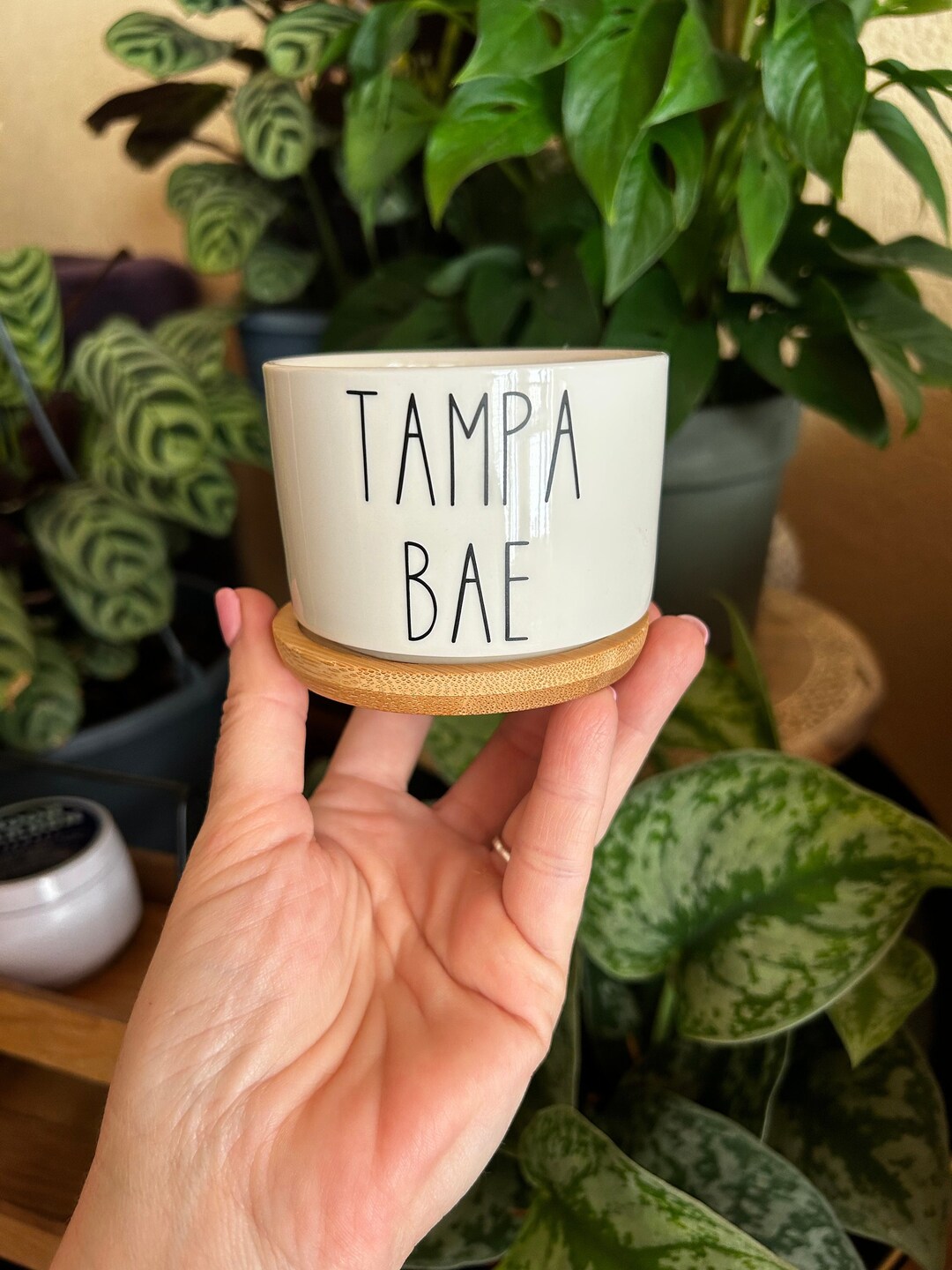 Tampa Bae Ceramic Pot for Plants With Drainage - Etsy