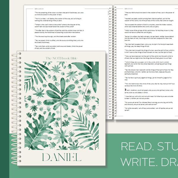 Daniel Book of the Bible - Etsy
