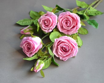 Taffy Pink Roses English Garden Roses Wedding Decor Home - Etsy