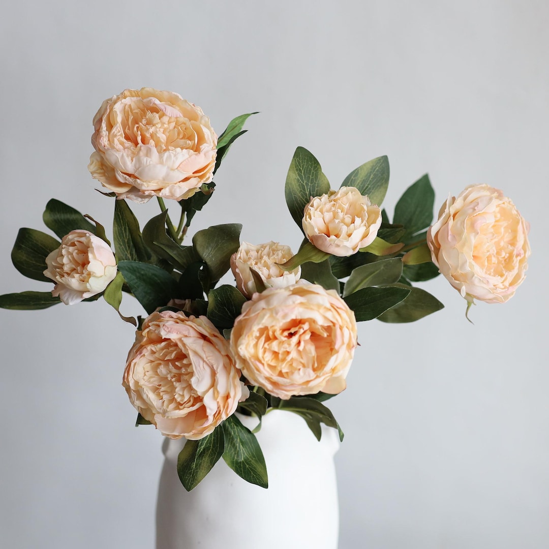 20" Peony, Dried Peonies, Silk Peony, Artificial Flowers, Garden Flower ...