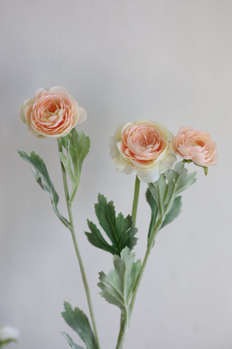 18.5" Faux Light Champagne Ranunculus, Peach Ranunculus, Artificial ...