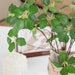 Artificial Plants, Faux Plant Stem, Realistic Flower, Japonica Stem ...