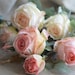 Taffy Pink Roses, English Garden Roses, Wedding Decor, Home Decoration ...