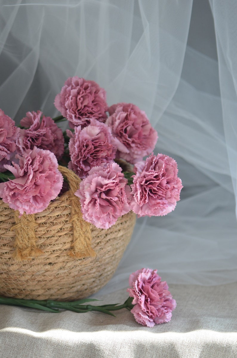 3 Colors White Ivory Carnations Real Touch White Carnations - Etsy