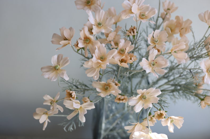 23" Artificial Cosmos, Champagne Cosmos, Peach Flowers, Faux Cosmos ...