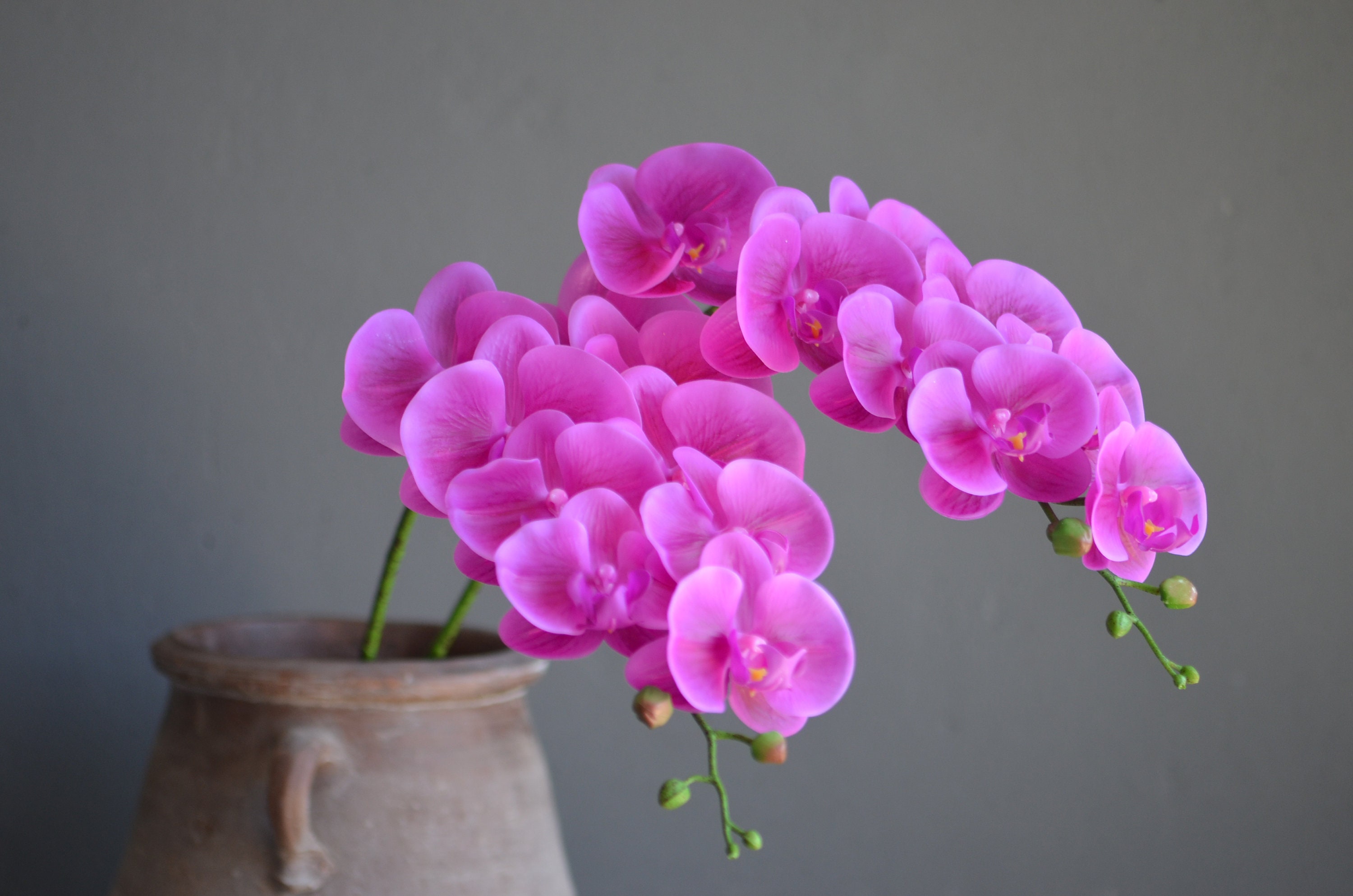 Artificial Orchid Real Touch Orchid Silk Orchids Hot Pink - Etsy