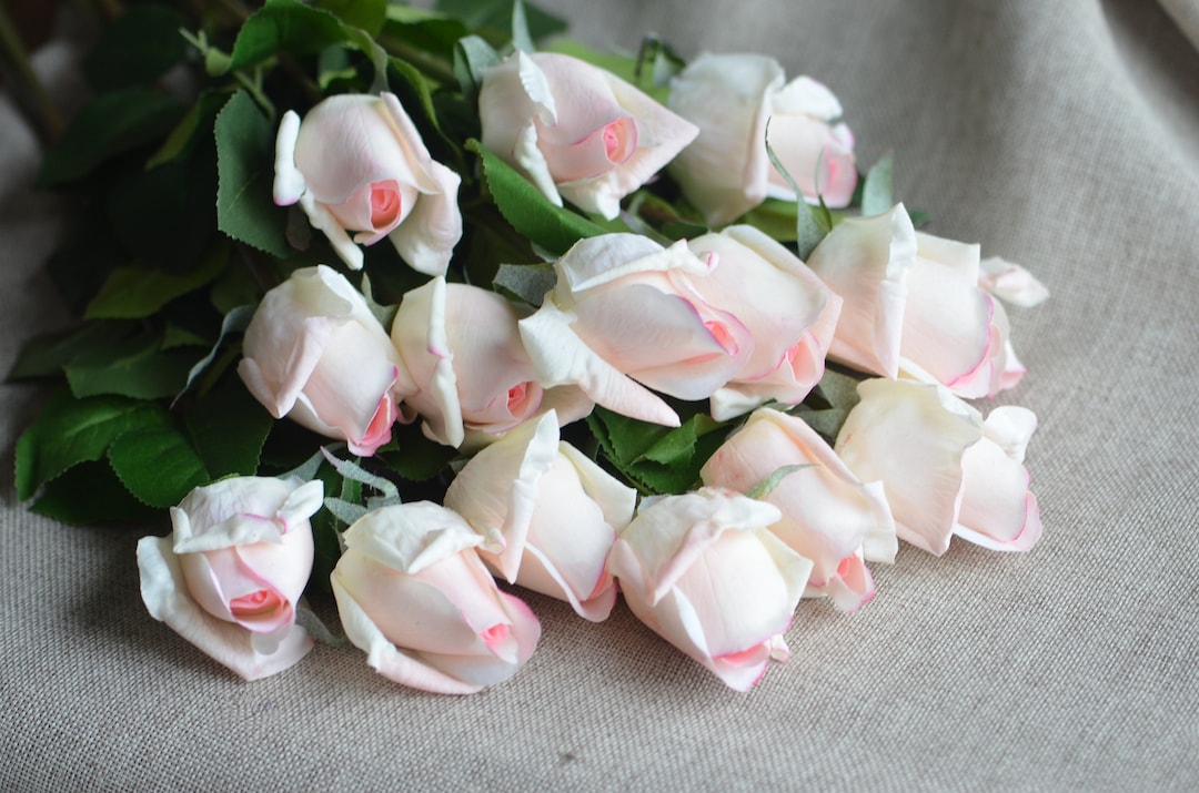 11 Colors! Blush Pink Roses, Real Touch Flowers, White Roses, Real ...