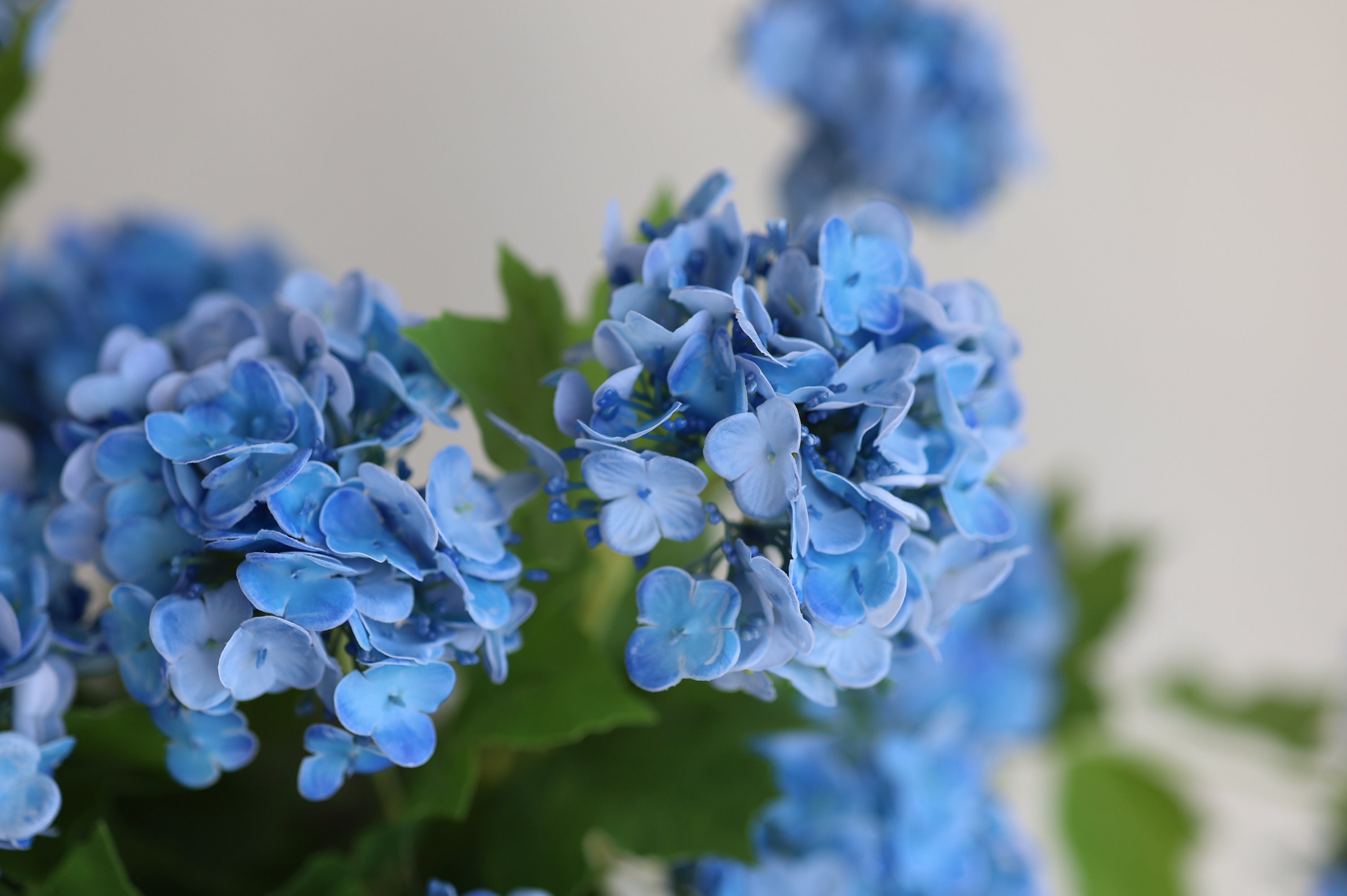 25" Real Touch Seeded Blue Hydrangeas, Snowball Hydrangea, Faux ...