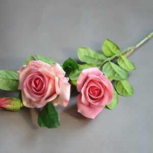 Taffy Pink Roses, English Garden Roses, Wedding Decor, Home Decoration ...