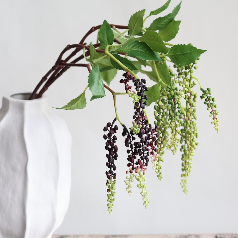Pokeberry - Etsy