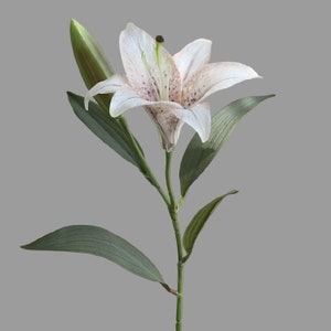 Real Touch Lilies, White Tiger Lily, White Lilies, Real Touch Flowers ...