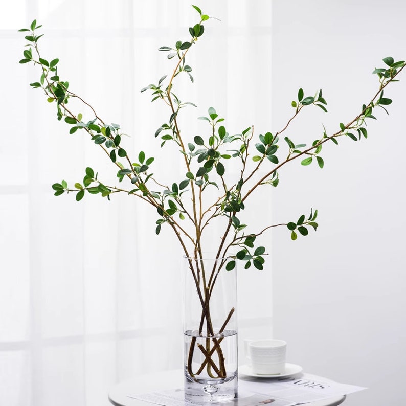 40 Real Touch Faux Aglaia Odorata Tree Branch Stem - Etsy