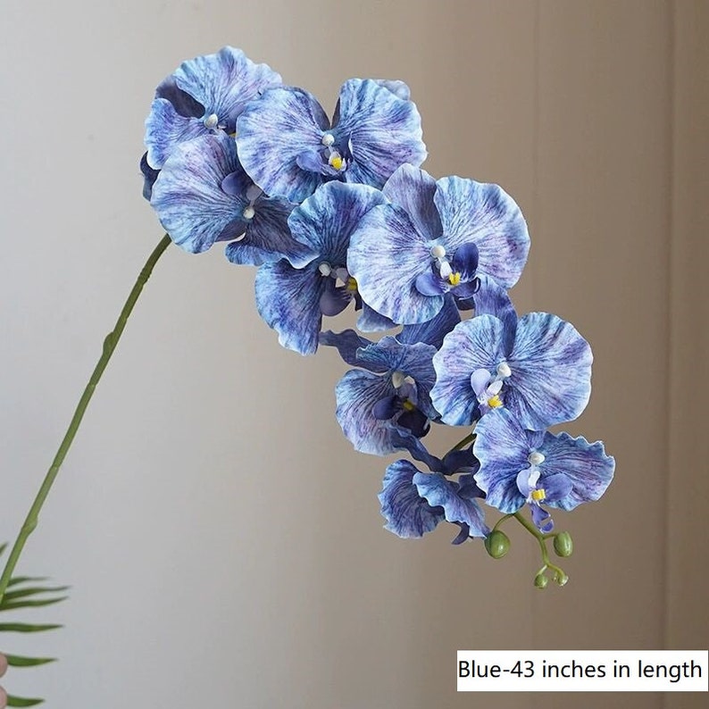 Artificial Orchid Blue Orchids Real Touch Orchid Silk - Etsy