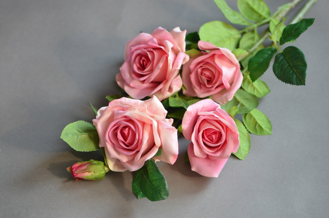 Taffy Pink Roses, English Garden Roses, Wedding Decor, Home Decoration ...