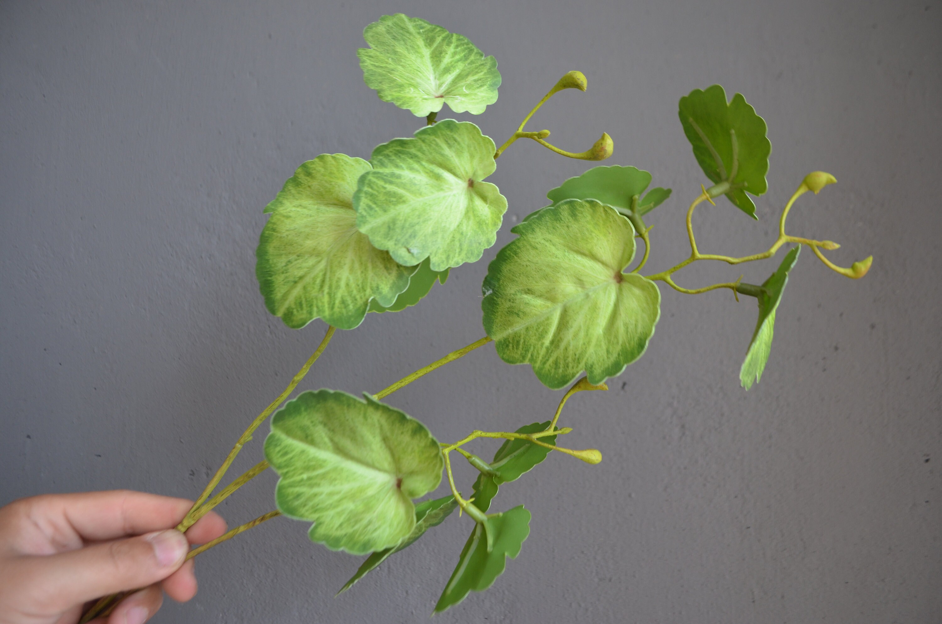 Faux Green Plant Faux Plant Realistic Faux Plant Artificial - Etsy