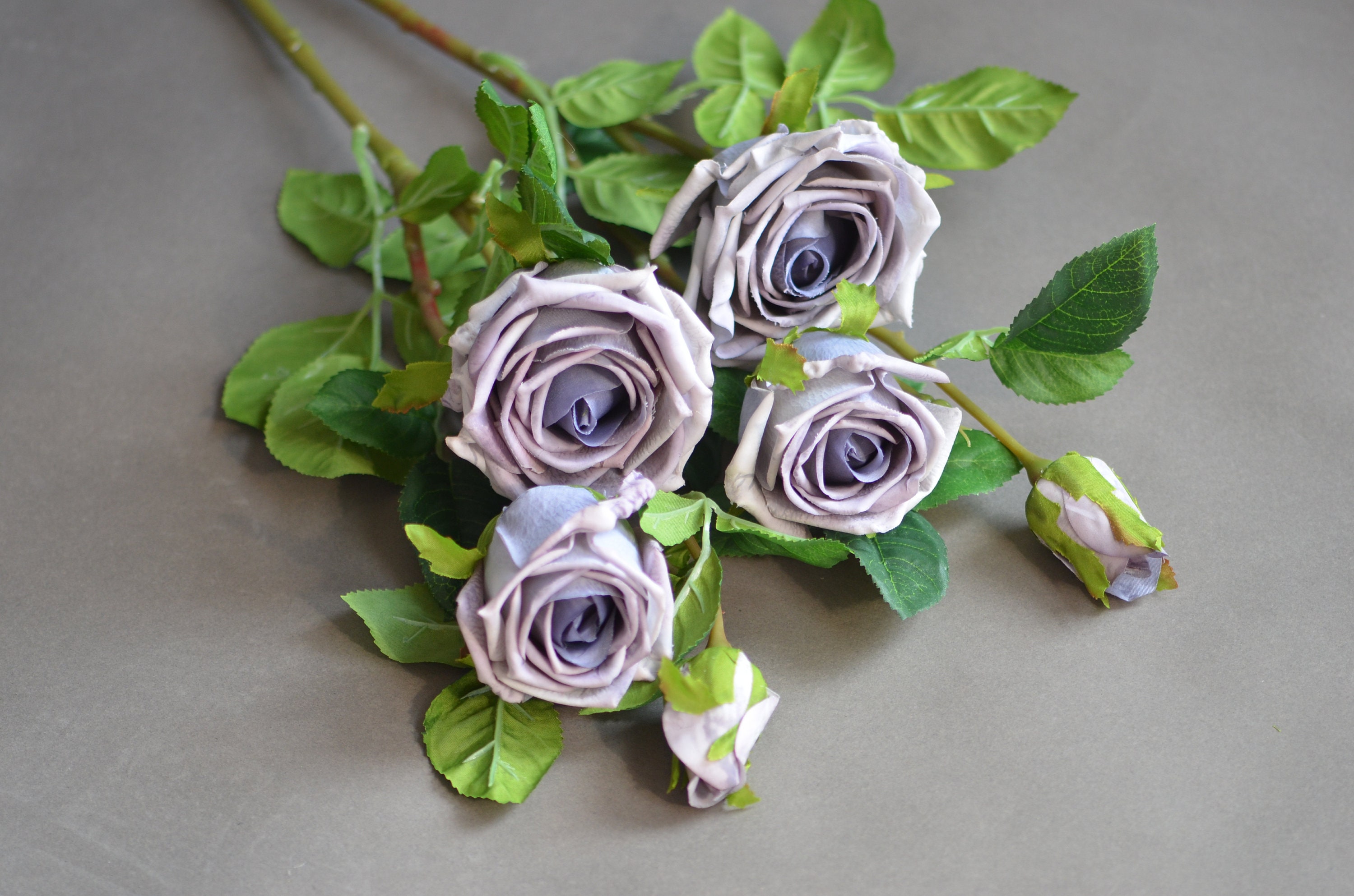 Dusty Blue Roses English Garden Roses Wedding Decor Home | Etsy