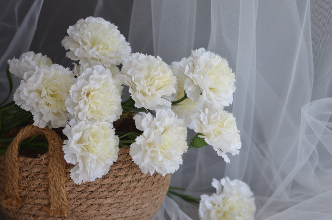3 Colors! White Ivory Carnations, Real Touch White Carnations ...