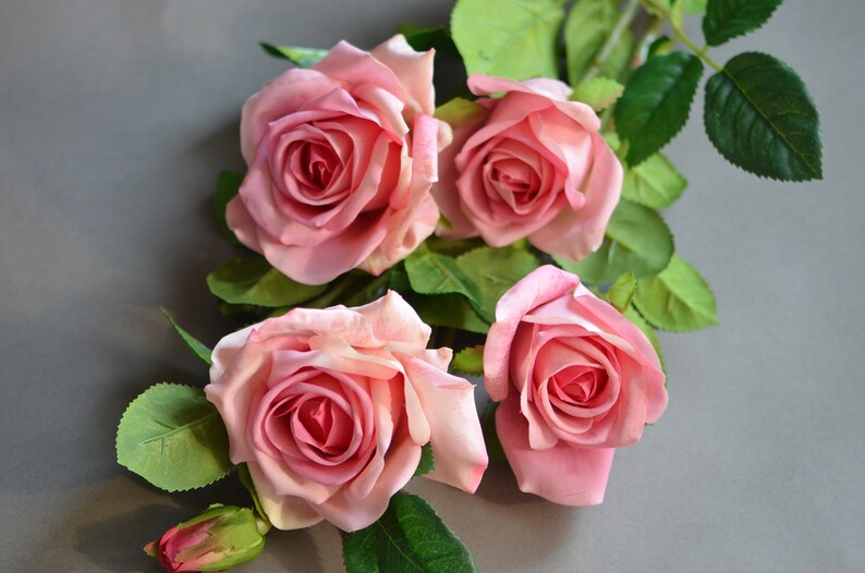 Taffy Pink Roses English Garden Roses Wedding Decor Home - Etsy