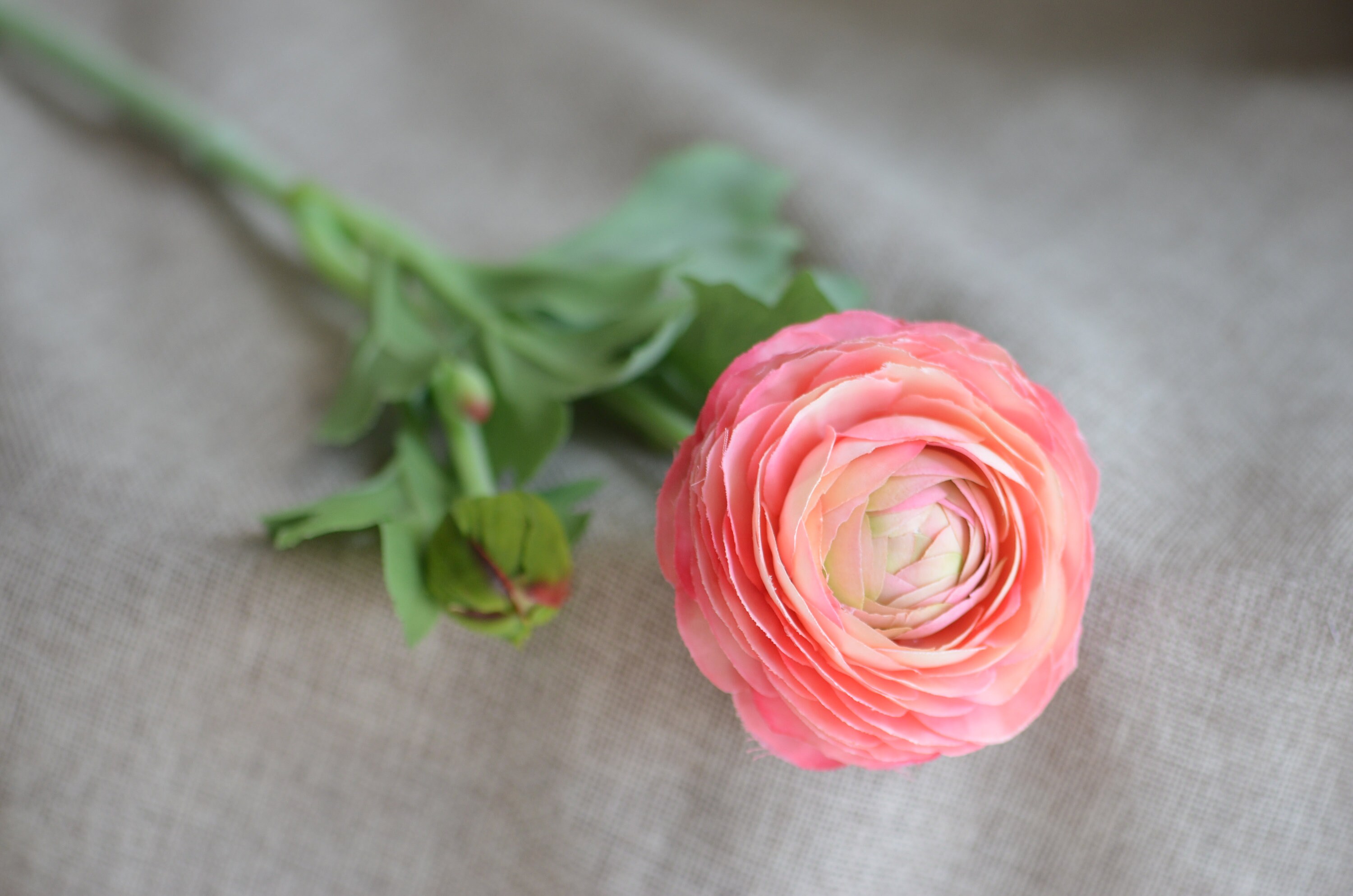 Luxe Faux Ranunculus Silk Ranunculus Artificial Flowers - Etsy