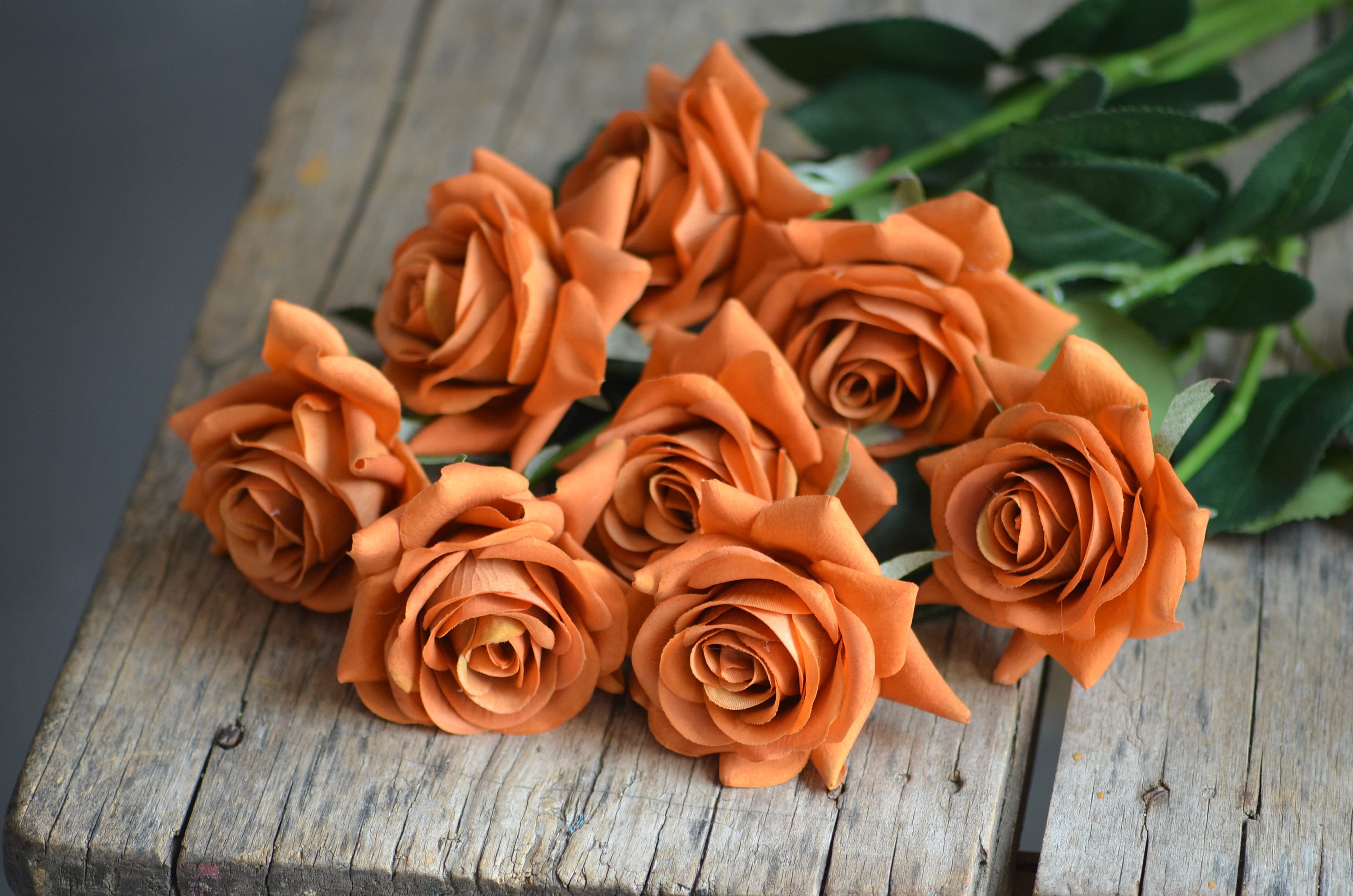Burnt Orange Roses, Burnt Orange Flowers, Burnt Orange Decor ...