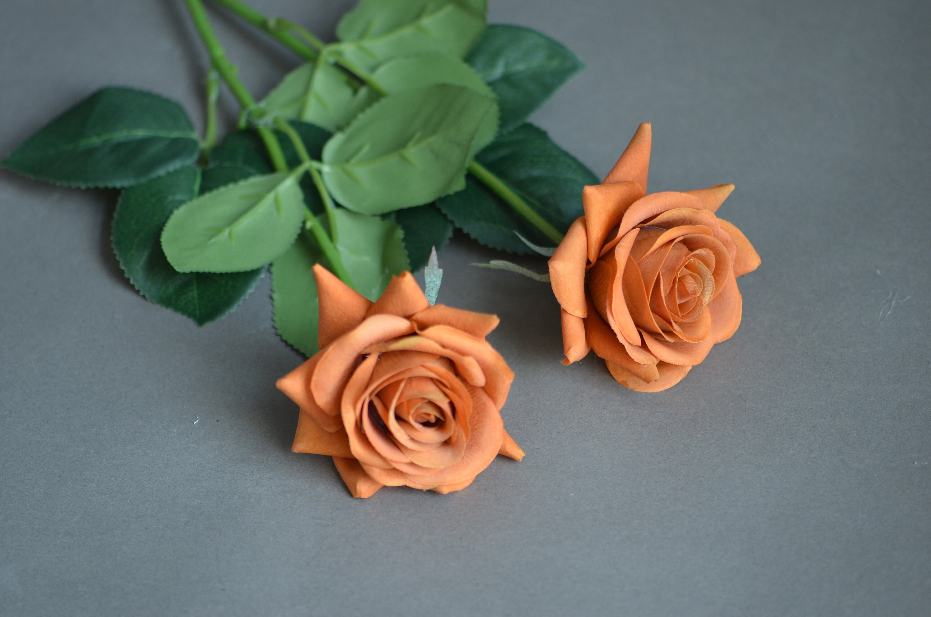 Burnt Orange Roses, Burnt Orange Flowers, Burnt Orange Decor ...