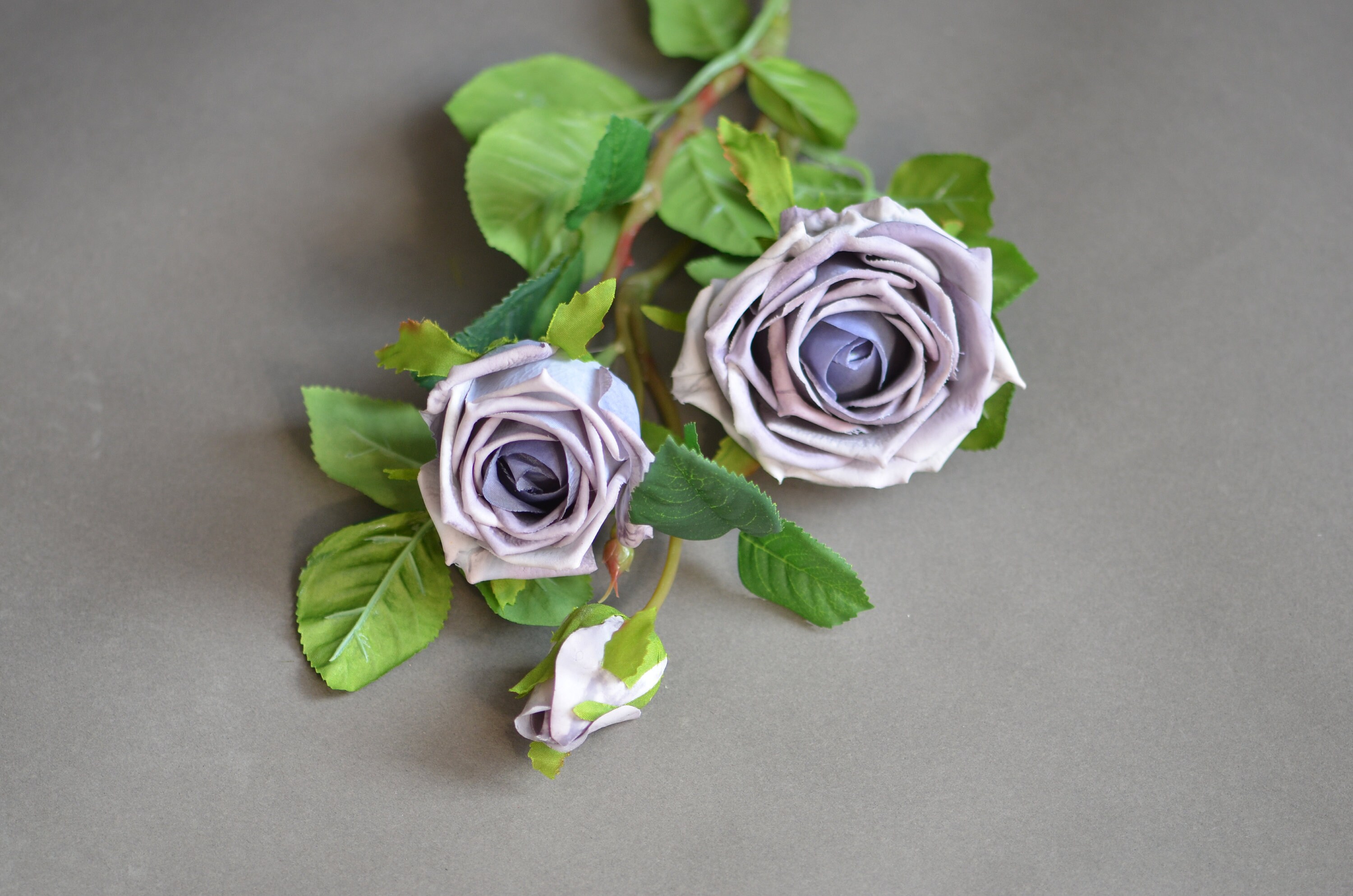 Dusty Blue Roses English Garden Roses Wedding Decor Home | Etsy