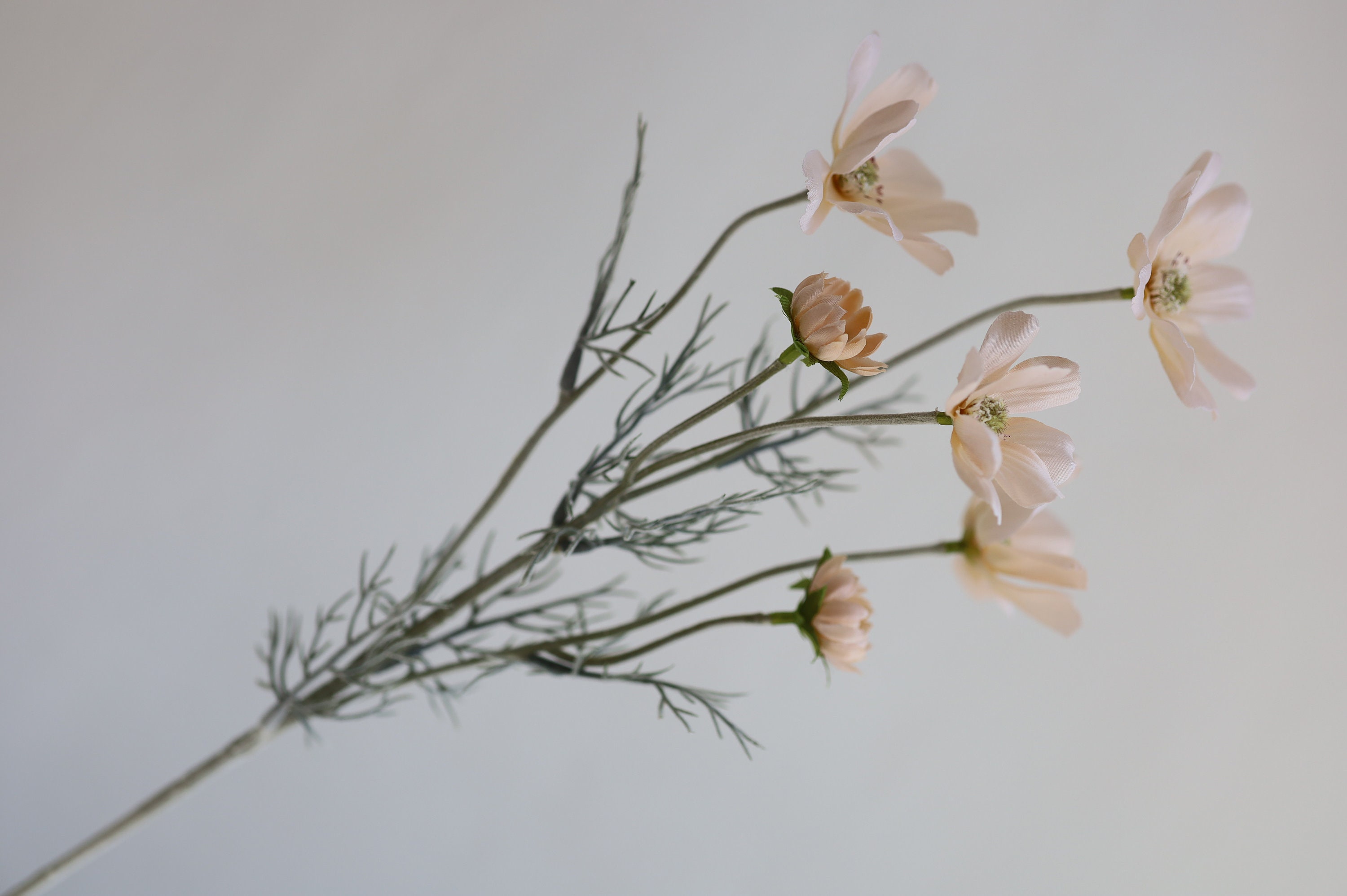 23" Artificial Cosmos, Champagne Cosmos, Peach Flowers, Faux Cosmos ...