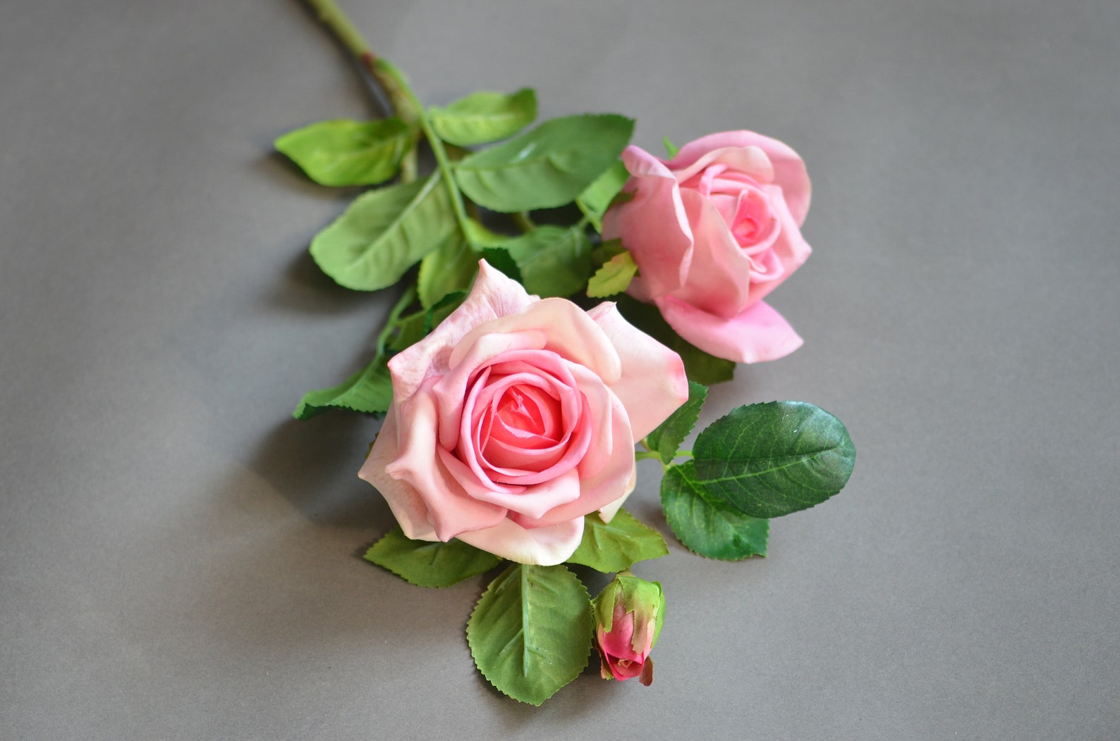 Taffy Pink Roses English Garden Roses Wedding Decor Home - Etsy