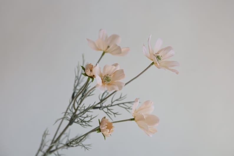 23" Artificial Cosmos, Champagne Cosmos, Peach Flowers, Faux Cosmos ...