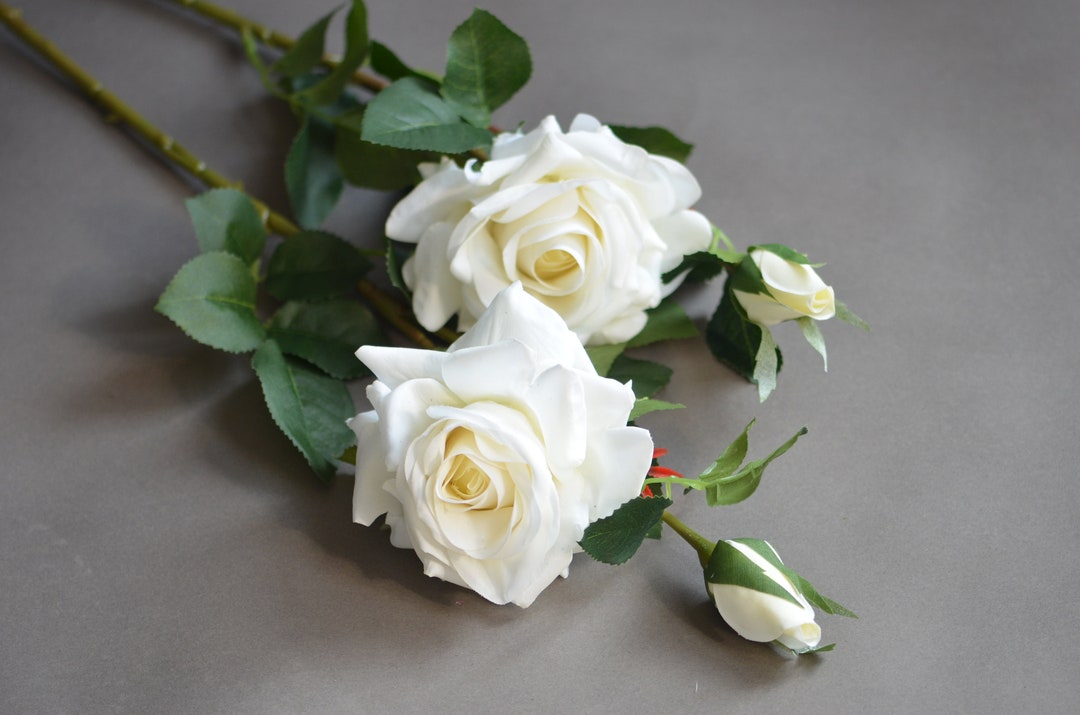 27 Real Touch Cream Ivory Rose, English Garden Roses, Wedding Decor ...
