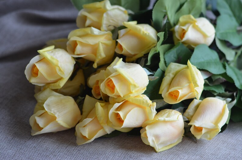 11 Colors! Real Touch Flowers, White Roses, Real Looking Roses, Real ...