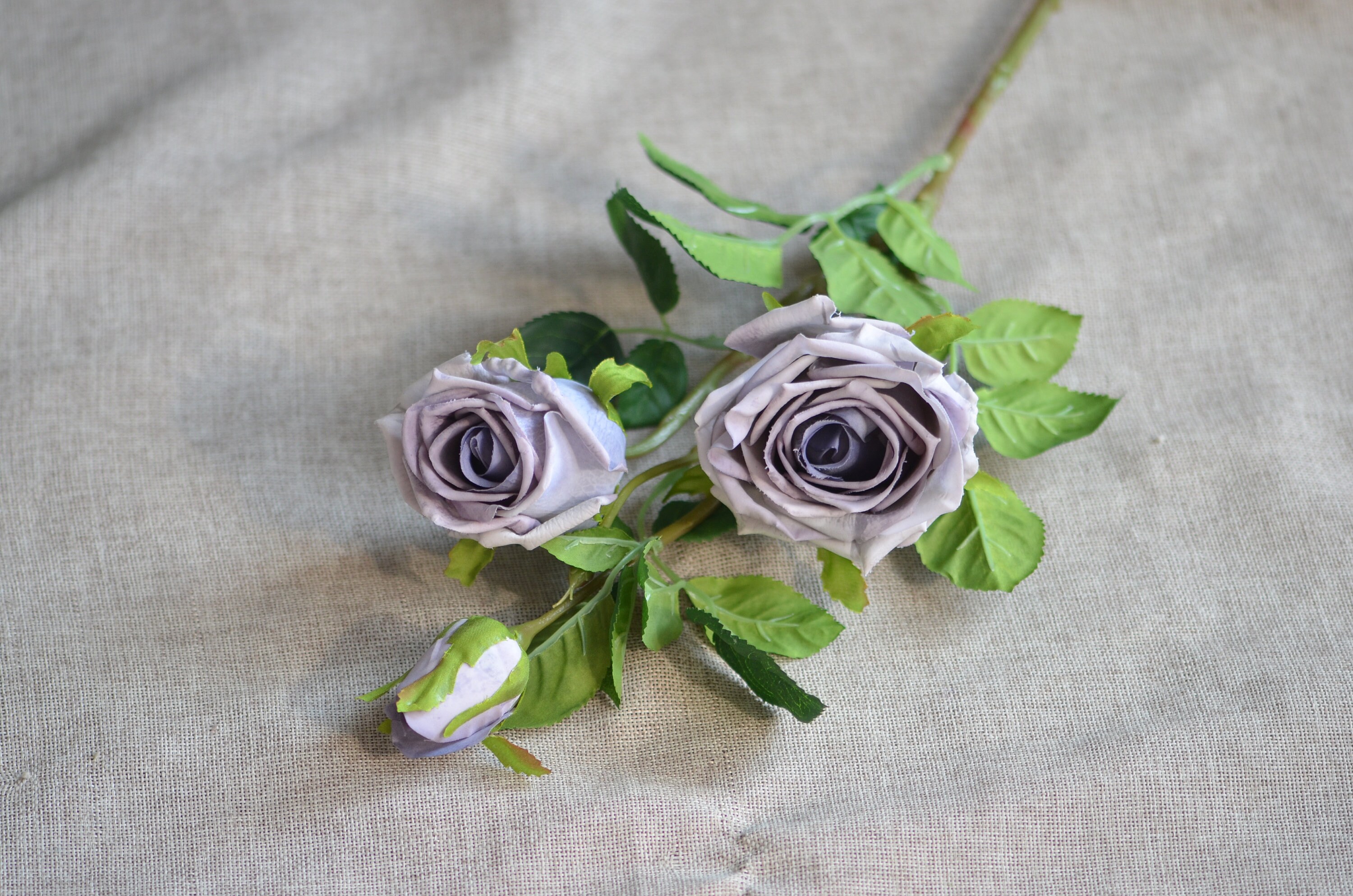 Dusty Blue Roses English Garden Roses Wedding Decor Home | Etsy